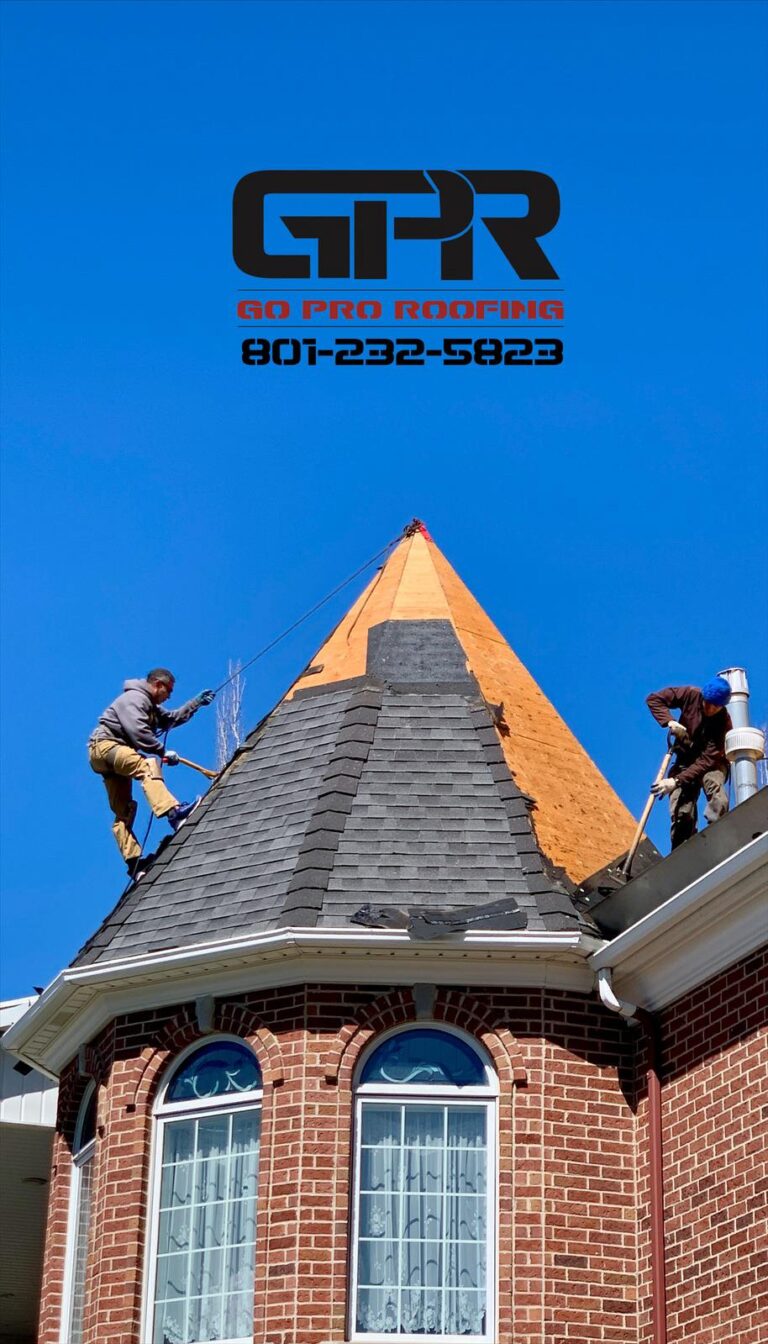 GO PRO ROOFING